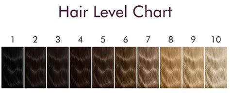 What Level Is My Hair Color Level Understanding The Color Chart Paradyes