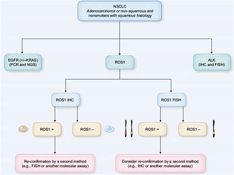 Detection Of ROS1 Rearrangement In Non Small Cell Lung Cancer Current LCTT