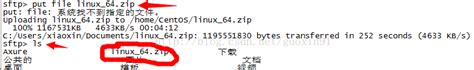 securecrt 6 5从本地上传文件到linux虚拟机 securecrt怎么将文件导进虚拟机 csdn博客