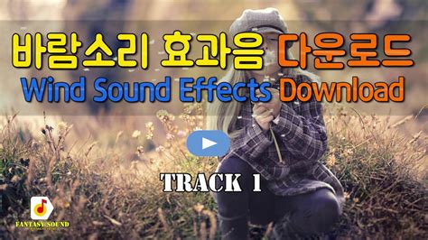 바람소리 효과음 다운로드 바람부는 소리 효과음 모음 Wind Sound Effects Download By 판타지사운드 Fantasy Sound Free