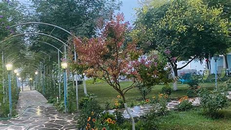 ჩვენი ეზოს ამბები Jikia ჩვენი ეზოს ამბები Jikia News