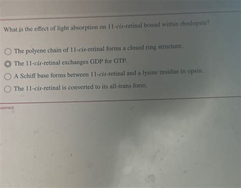 Solved What Is The Effect Of Light Absorption On