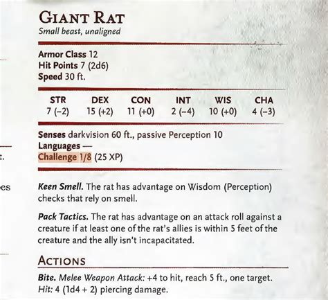 Giant Rat Rats Giants Dandd