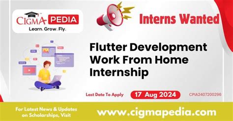 Flutter Development Work From Home Internship 2024 How To Apply For