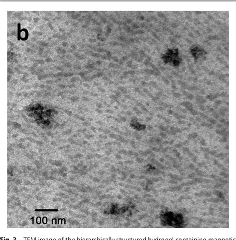 Figure 3 From Stimuli Responsive Hydrogels Cross Linked By Magnetic