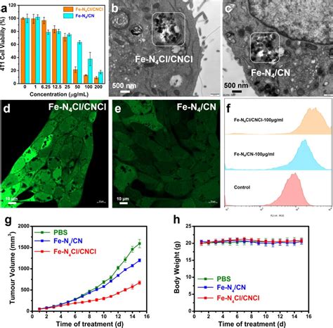 南开大学等四单位联合jacs：单原子纳米酶轴向氯化工程fe N4cl催化位点用于高效过氧化物酶模拟 X Mol资讯