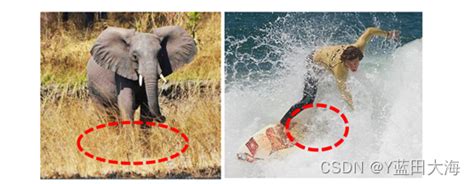 Localization Distillation For Dense Object Detection（用于密集目标检测的定位蒸馏）cvpr2022目标检测y蓝田大海 2048 Ai社区