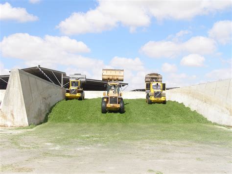 Types Of Silage Storage At Joanne Bender Blog