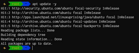 Cli Issue With Installing On Ubuntu 20041 · Issue 483 · Teamdfir