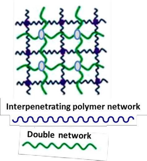10 A Schematic Of A Dn Hydrogel Where The Second Blue Polymer Network Download Scientific