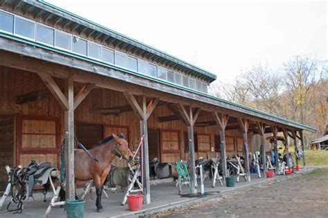 森の馬小屋での乗馬体験は日本でここだけだと 和みの風 木のぬくもりとロバと宿と