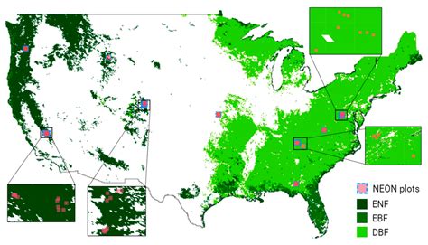 Forests Free Full Text Forest Canopy Water Content Monitoring Using Radiative Transfer