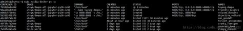 docker容器、镜像的基本操作 shm size 8g csdn博客