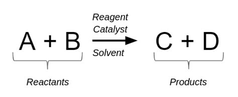 Reaction Terminology Labster