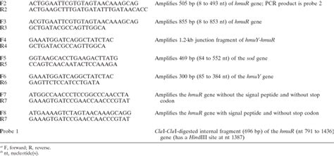 Primers And Probes Used In This Study Primer Pair Or Probe A Sequence Download Table