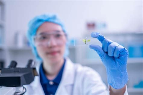Mujer Científica Trabajando Planta Biología Biotecnología Investigación