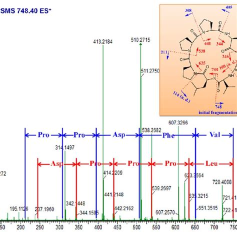 ms ms fragmentation pattern of 1 the dashed lines through the