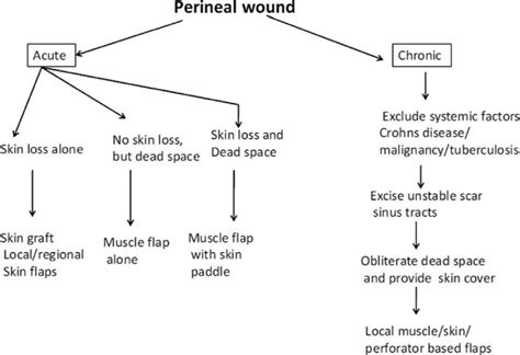 Algorithm For Perineal Reconstruction Download Scientific Diagram