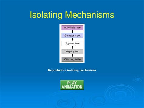 Ppt Evolutionary Patterns Rates And Trends Powerpoint Presentation Id5538970