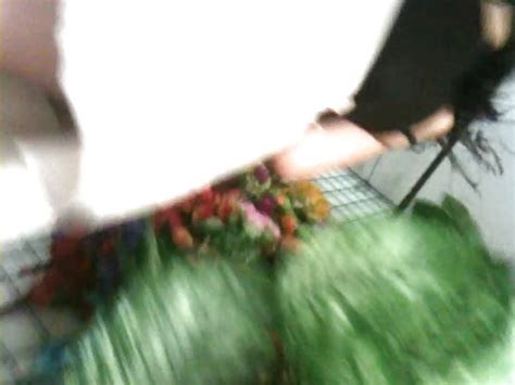 Ado Porn Pictures Xxx Photos Sex Images 716111 Pictoa