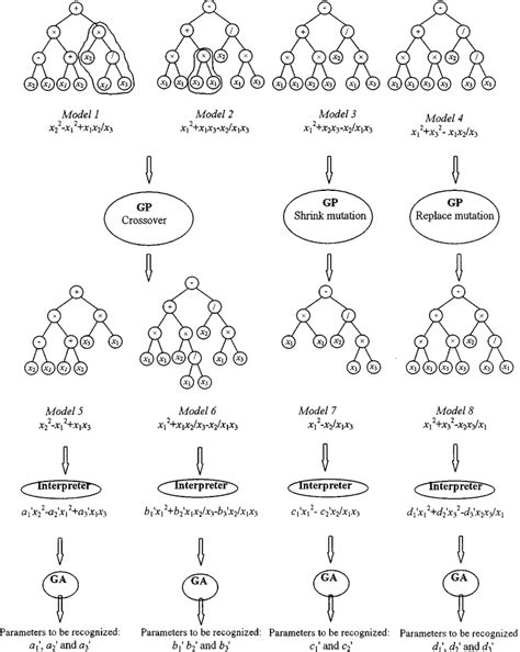 Stepped Evolution Of Model Structures And Model Parameters Download