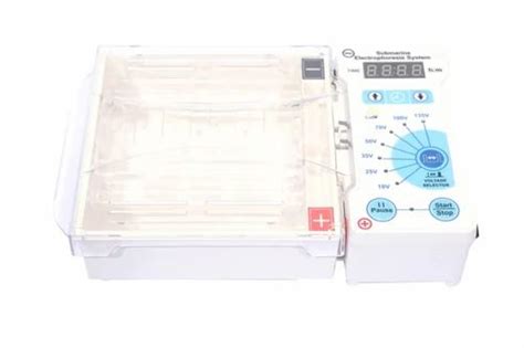 Horizontal Agarose Gel Electrophoresis With Integrated Power Supply At