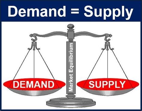 Equilibrium Graph 9th Grade Quiz Wayground