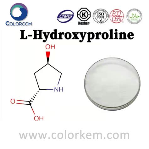 High Quality Sodium Carboxymethyl Cellulose Manufacturer And Supplier