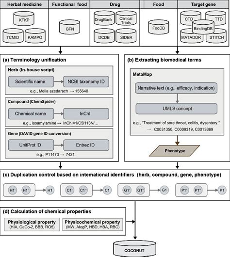the systematic procedure for database construction a terminology