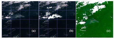 Remote Sensing Free Full Text Forest Fire Smoke Detection Using Back Propagation Neural