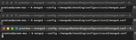 Mongodb 샤딩 클러스터 구성 Mongodb 올인 9일차 Promleeblog