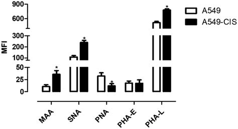 Lectin Binding Assay Cells Were Incubated During 48 H Before Being Download Scientific Diagram