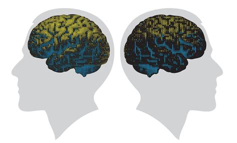 Stylized Brain Illustrations 49533474 Vector Art At Vecteezy