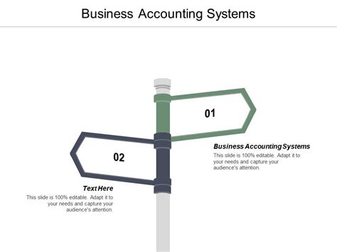Business Accounting Systems Ppt Powerpoint Presentation Styles Display Cpb