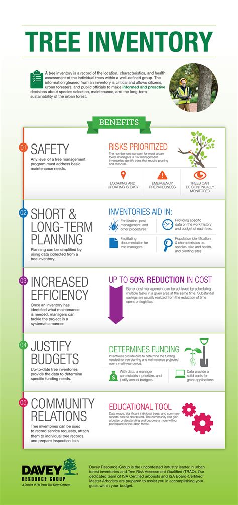 Tree Inventory Infographic Behance