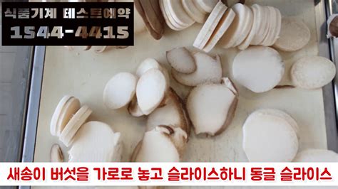 야채절단기 새송이버섯 가로썰기 세로썰기 Youtube