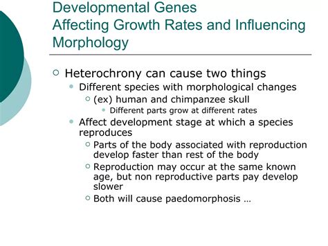 Evolutionary Developmental Biology Ppt
