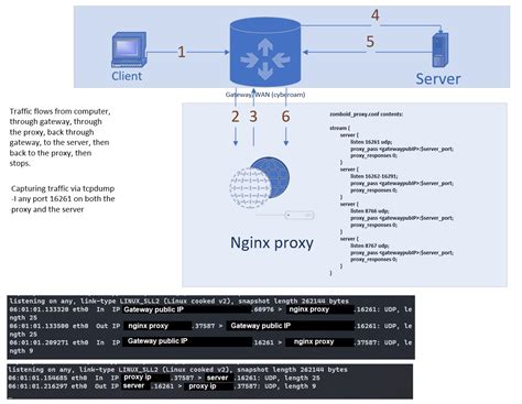 Nginx Reverse Proxy To Hide Ip For Gameserver Project Zomboid R