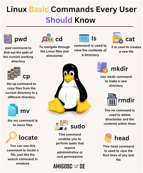 Basic Commands Artofit