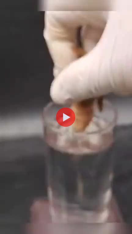 혐 나방 똥 싸는 장면 Mp4 유머 움짤 이슈 에펨코리아