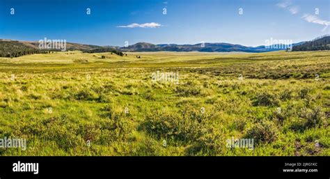 Montane Grassland At Valle Grande Early Morning At Valles Caldera