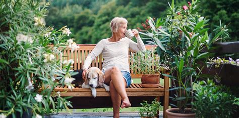 Retirement Calculator