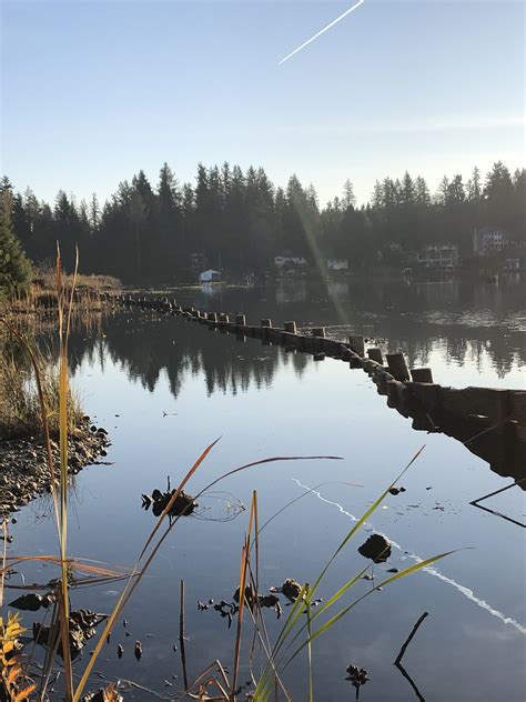 The Man Who Dredged Filled And Sculpted Lake Sawyer