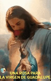 Rosa De Guadalupe S Find And Share On Giphy