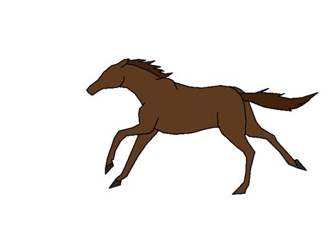 Black Horse Jumping  At Aileen Markham Blog
