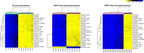 Top 20 Significant Differentially Methylation Cpgs Between Naïve And