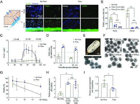 Cemed Shows Increased Viability And Insulin Secretion Sensitivity Of