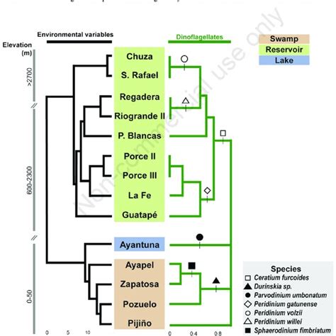 Hierarchical Clustering Of Distance And Similarity On The Left Ward Download Scientific