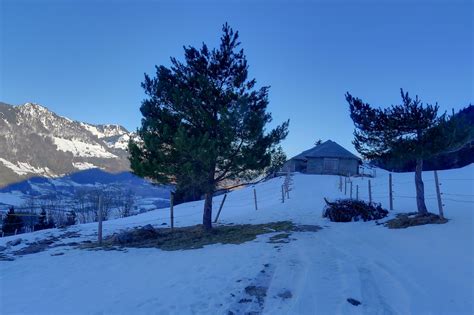Randonnée à Ski Aux Millets Depuis Lessoc Retour Par Le Sex Des Rayes