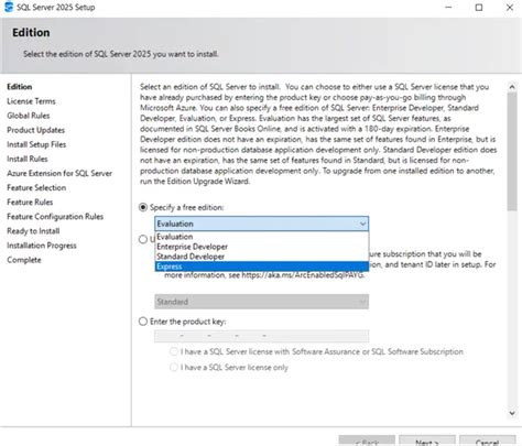 Install Sql Server 2025 Standard Developer Edition